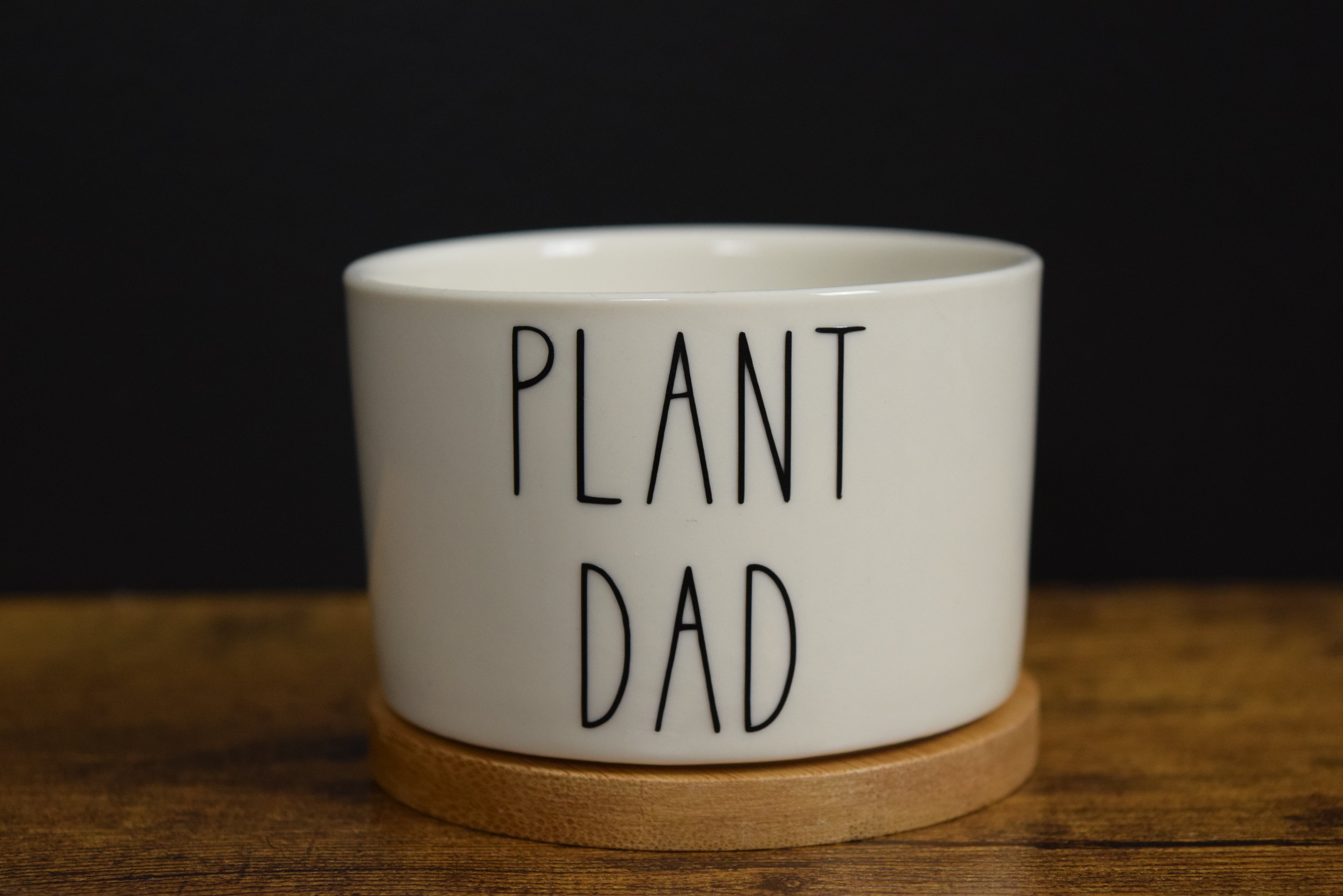 Plant Dad Succulent Pot, Funny Mini 3 inch Pot With Bamboo Drip Tray ...
